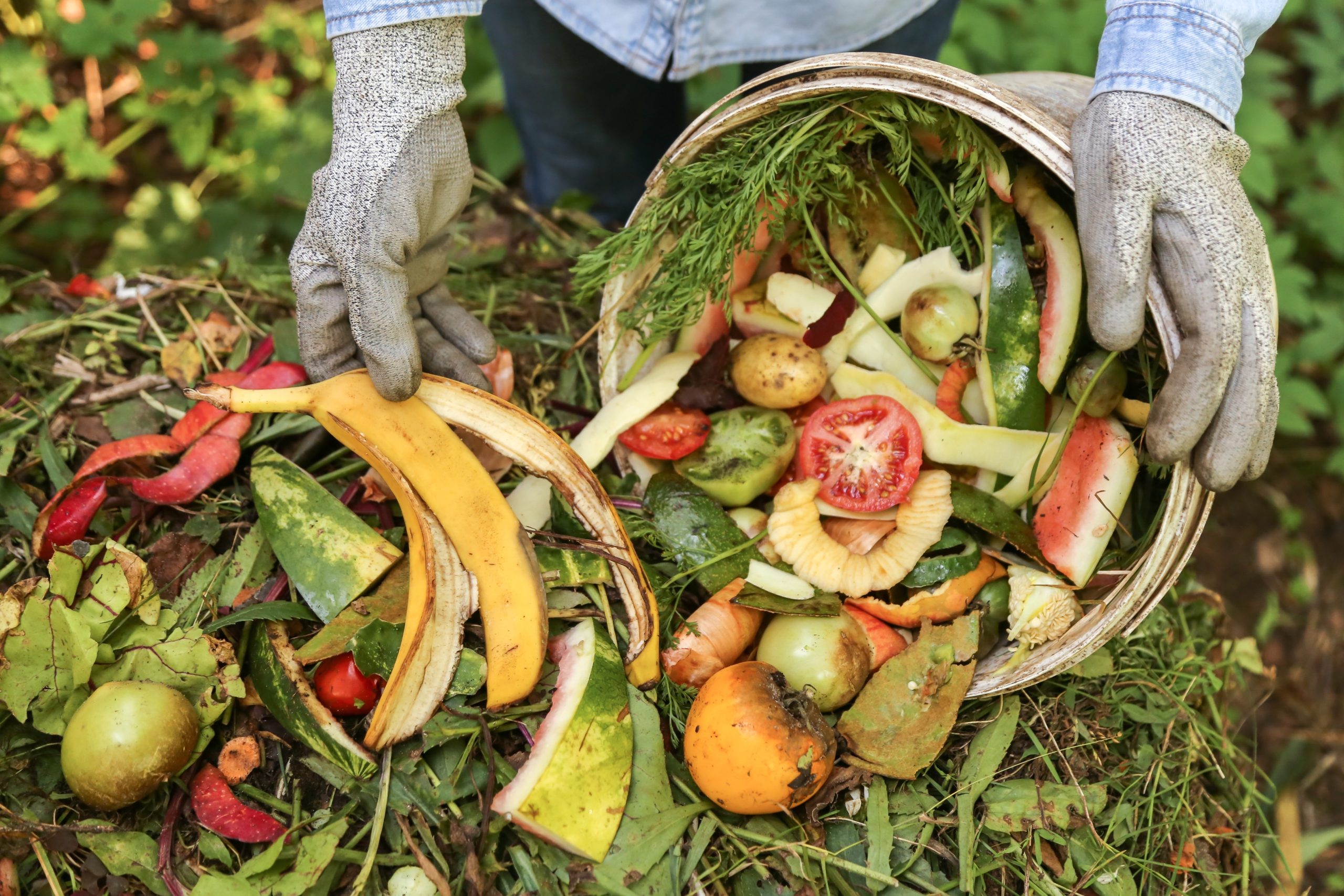 Waste Not, Want Not: How to Reduce Food Waste Through Composting - Evolve Waste