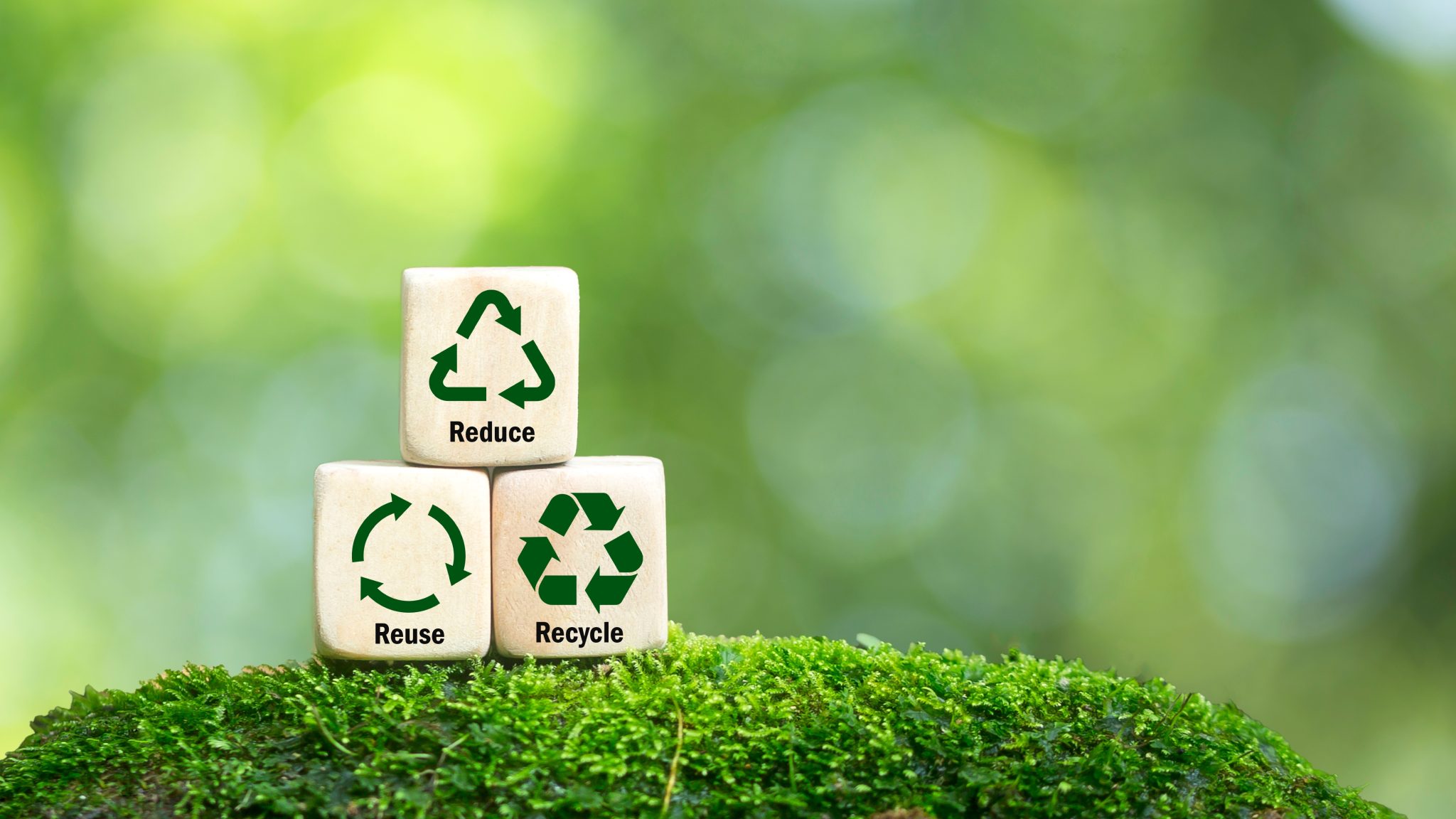 Recycling at Home: Easy Tips to Make a Big Difference - Evolve Waste